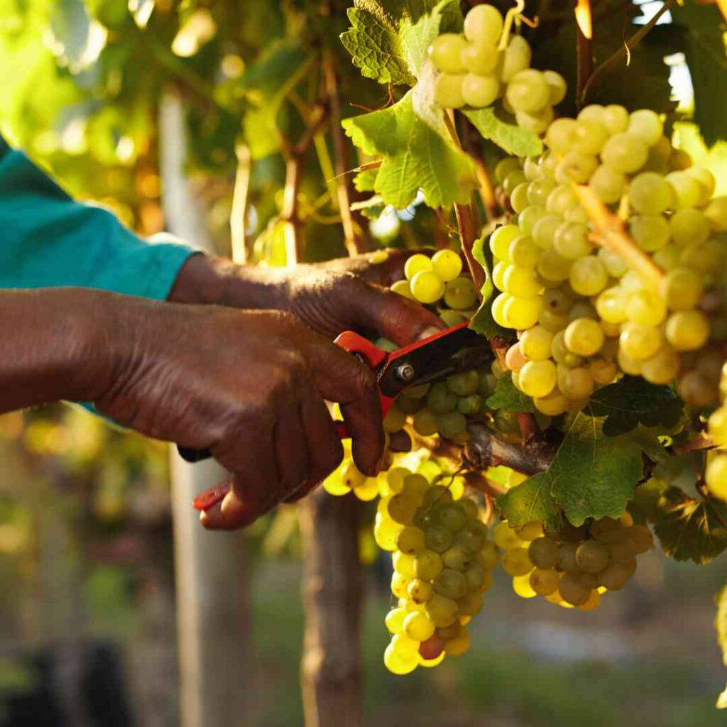 The Best Tourist Spots in Matnog Explored - The Vineyard Patio